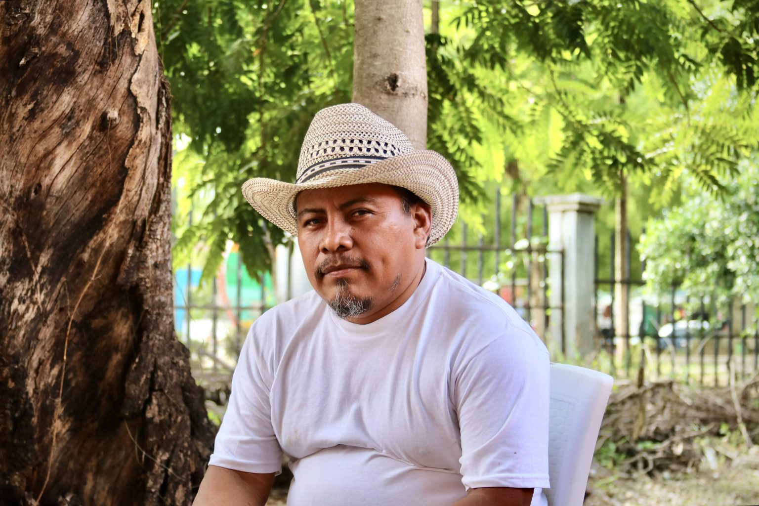 “No nos queremos ir”: campesinos resisten frente a grupos económicos de palma aceitera en ...